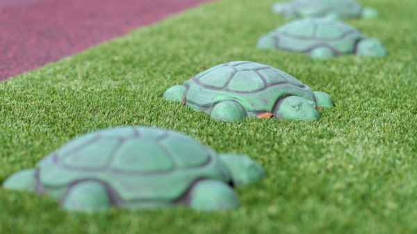 Stepping Turtles | 5ST – premierplaygrounds